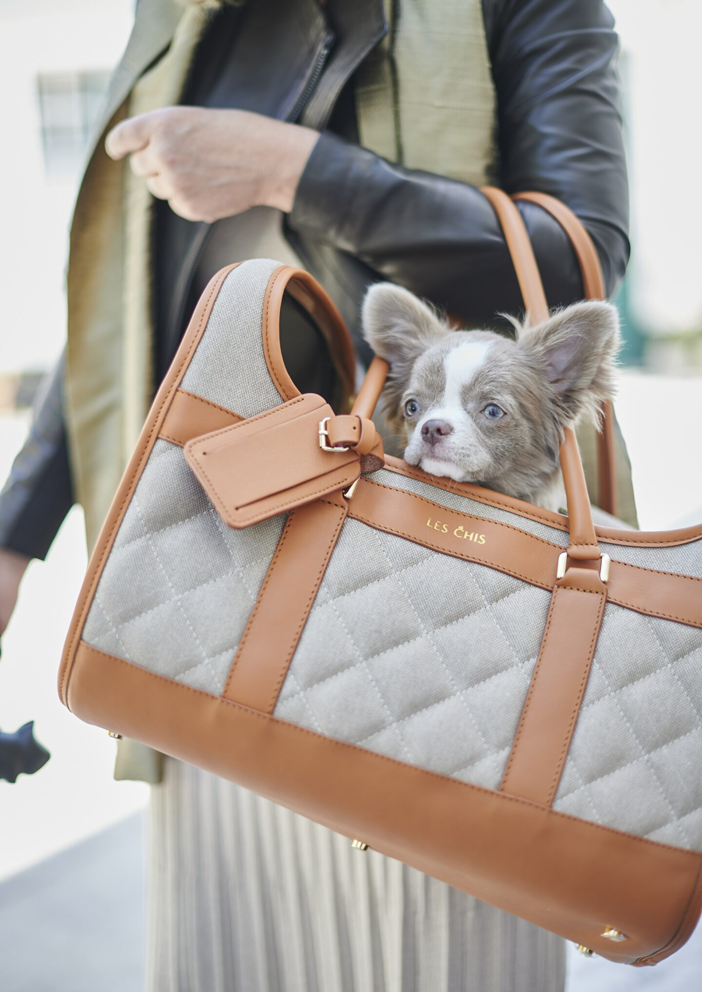 Welkom bij Les Chis | Les Chis